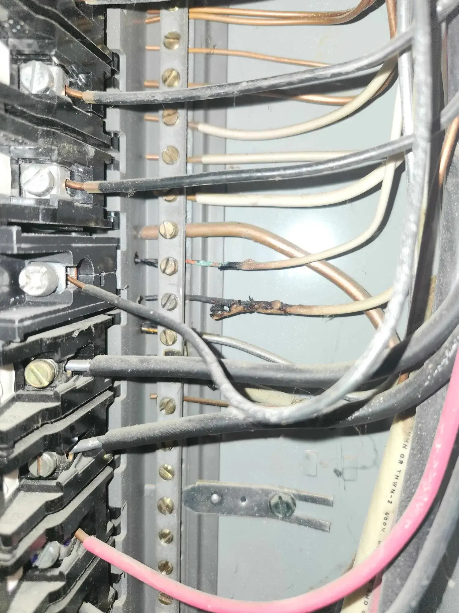 The 3 Reasons You Should Care About Heat Damage